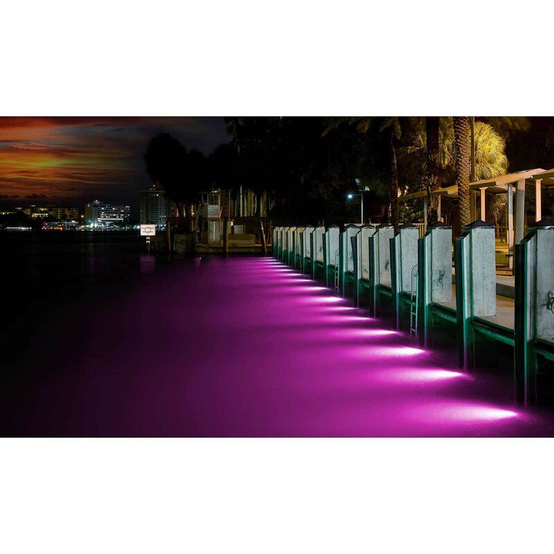 LUMITEC LIGHTING Mantis Dock Lighting System, 2,000 Lumen, RGBW | West ...