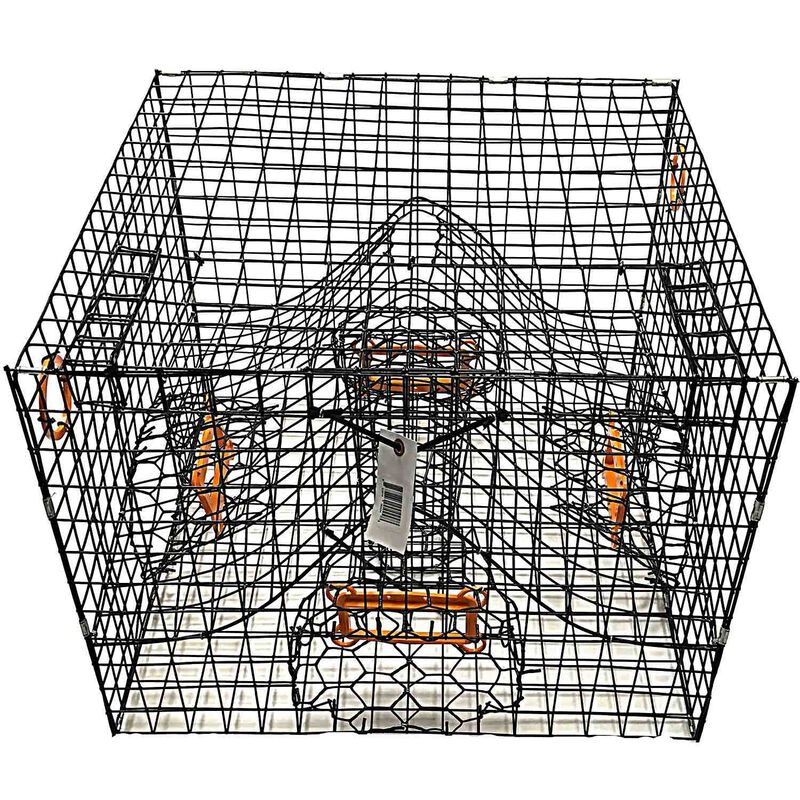 SPORTFISHING PRODUCTS Full Size Maryland Style Crab Trap (Virginia ...