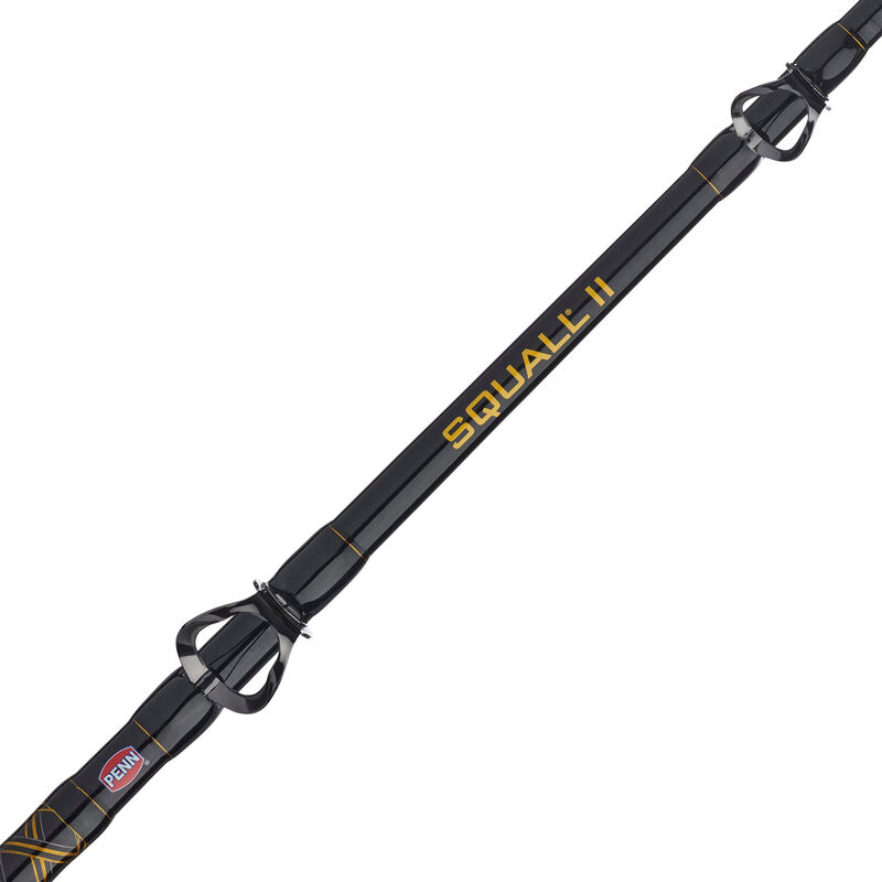 PENN 6'6" Squall® II Level Wind Conventional Combo, Medium Heavy Power ...