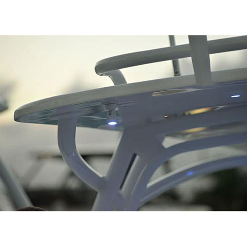 LUMITEC LIGHTING GAI2 LED Positionable Lights | West Marine