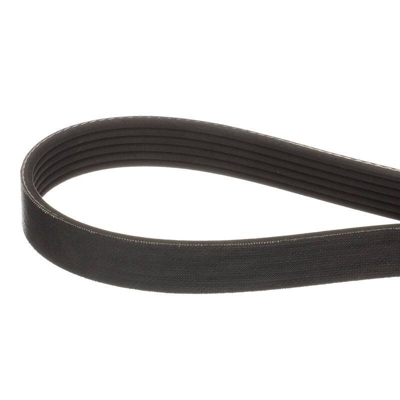 QUICKSILVER Quicksilver 865615Q09 Serpentine Belt, MerCruiser, V6 & V8 ...