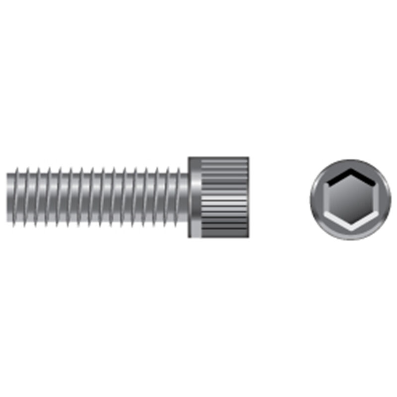 FASCO FASTENER Stainless Steel Metric Cap Screws | West Marine