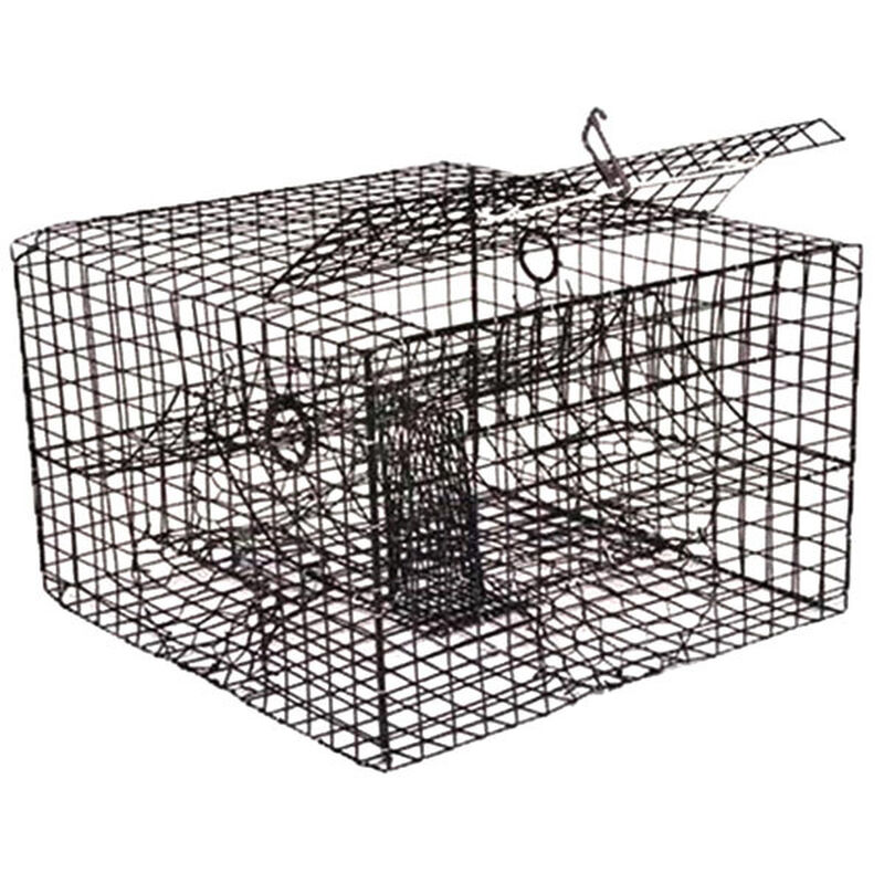 Full Size Maryland Style Crab Trap (Florida) | West Marine
