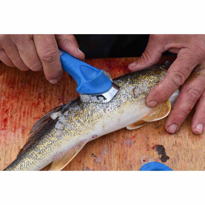 CUDA Aluminum Alloy Fish Descaler | West Marine