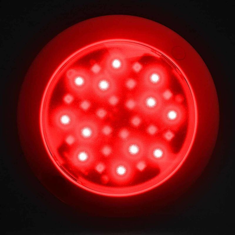 SEAVOLT 5 1/2" Waterproof LED Dome Light, Red/White | West Marine