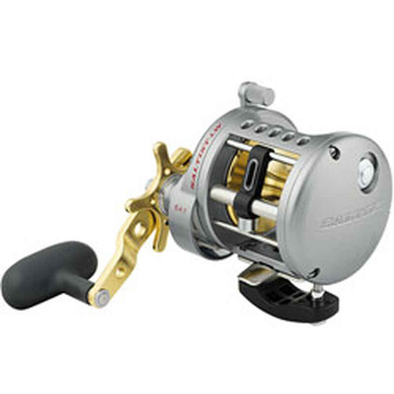 DAIWA Saltist STTLW30HA Level Wind Conventional Reel | West Marine