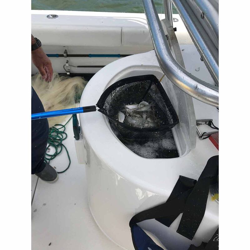 CUDA Baitwell Net | West Marine