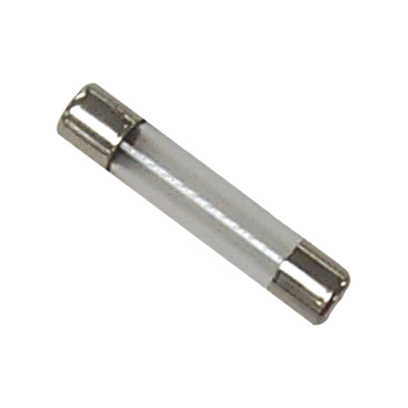 SIERRA 6A AGC Fuse | West Marine