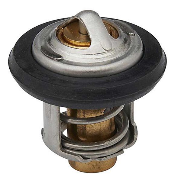 QUICKSILVER Quicksilver 8M0168892 Replacement Thermostat