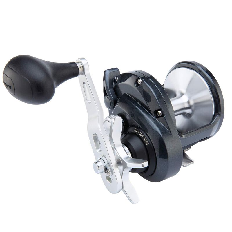 SHIMANO Torium 50HG Conventional Reel | West Marine