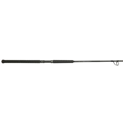 Spinning Rods | West Marine