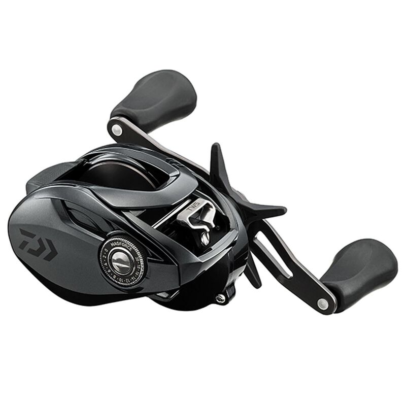 DAIWA Tatula 300HSL Left-Hand Baitcasting Reel | West Marine