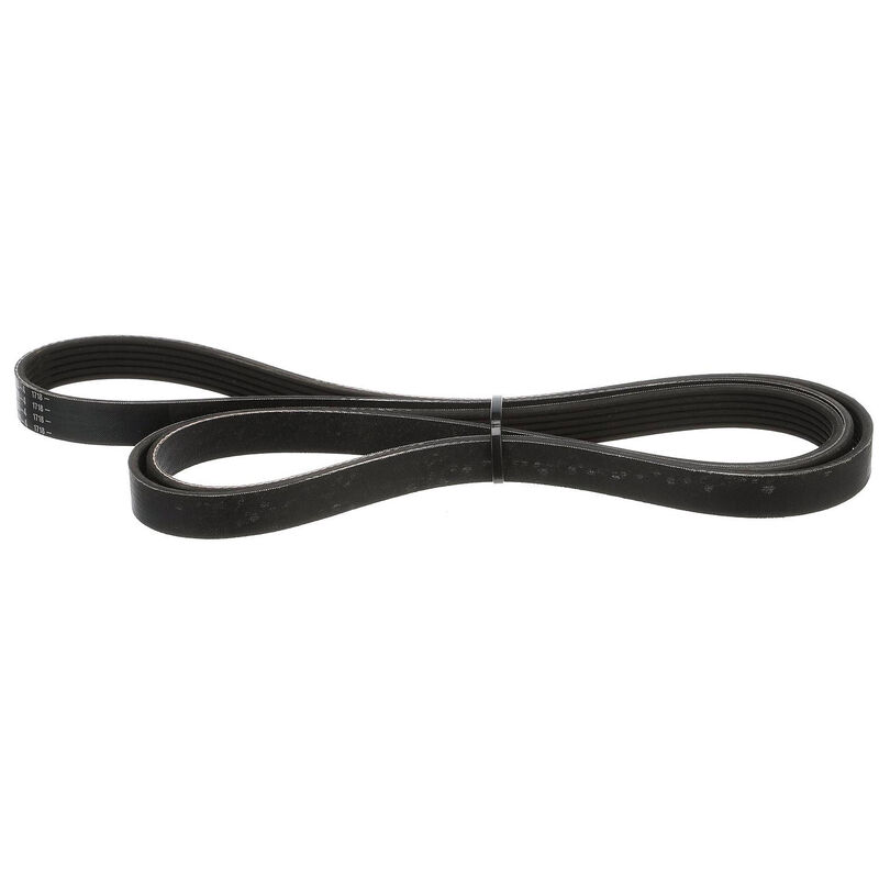 QUICKSILVER Quicksilver 865615Q09 Serpentine Belt, MerCruiser, V6 & V8 ...