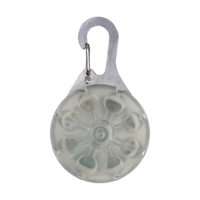 Dog Collars & Lights | West Marine