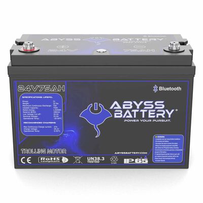 ABYSS BATTERY | West Marine