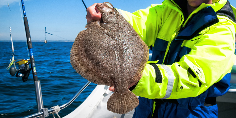 How to Catch Flounder | West Marine