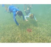 BlueFuture - Our Partners | West Marine