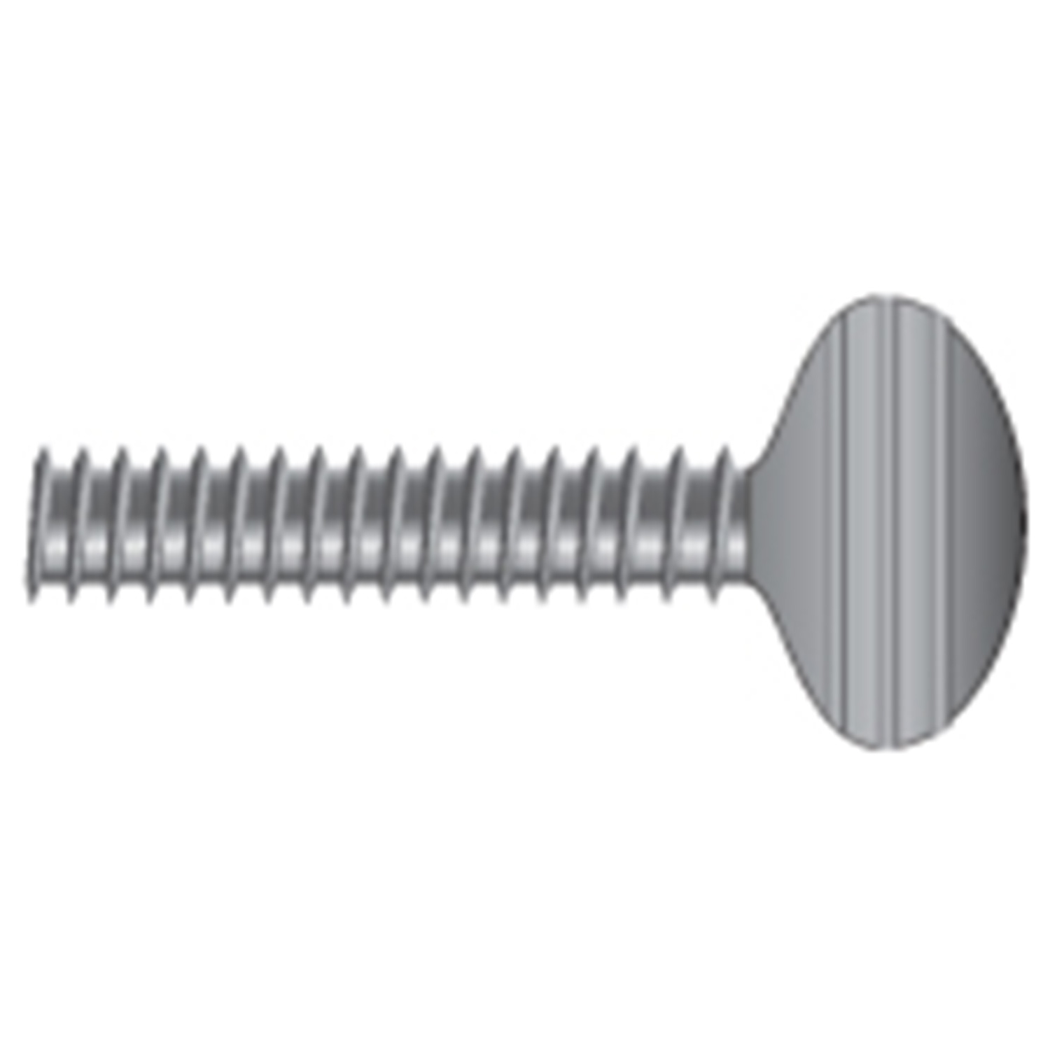 FASCO FASTENER 1/4-20 X 1/2" Stainless Steel Thumb Screws, 10-Pack