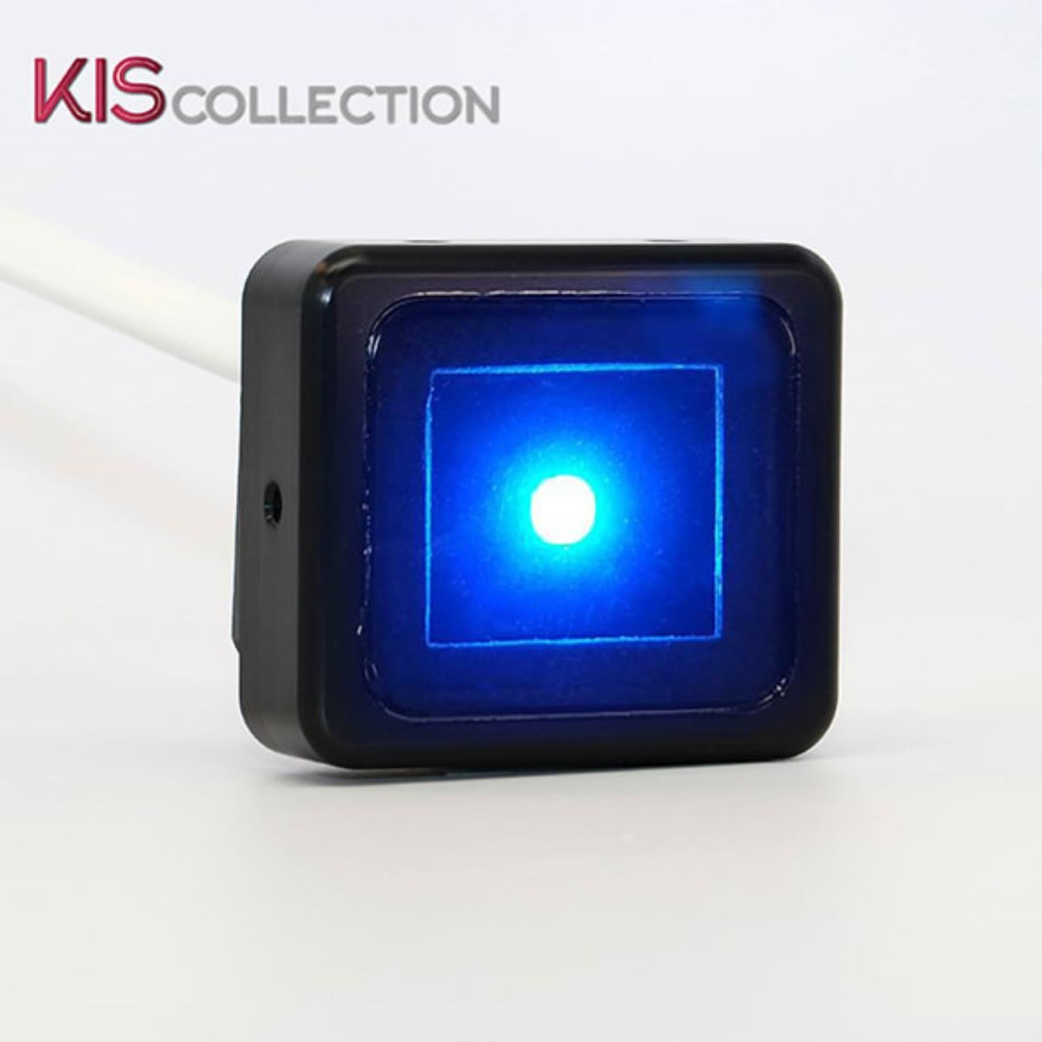 WEEMS & PLATH KIS Multi-Purpose Light with Blue LED, Black Housing