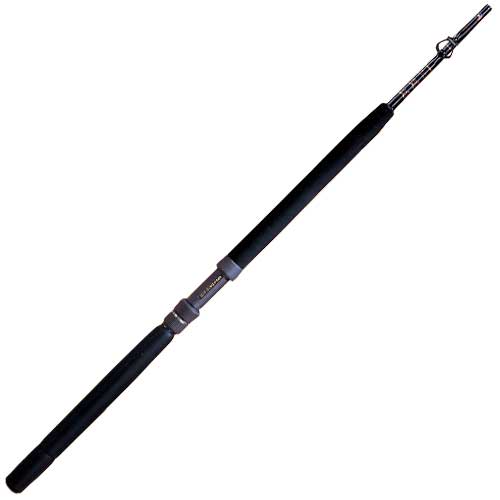 STAR RODS Star DLX3060, Medium Heavy, 30-60lb. Line Class, 5'9"