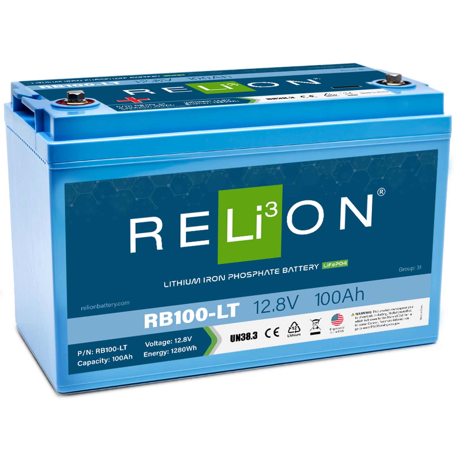 RELION Group 31 RB100-LT Lithium Iron Phosphate Deep Cycle Battery, 12V ...