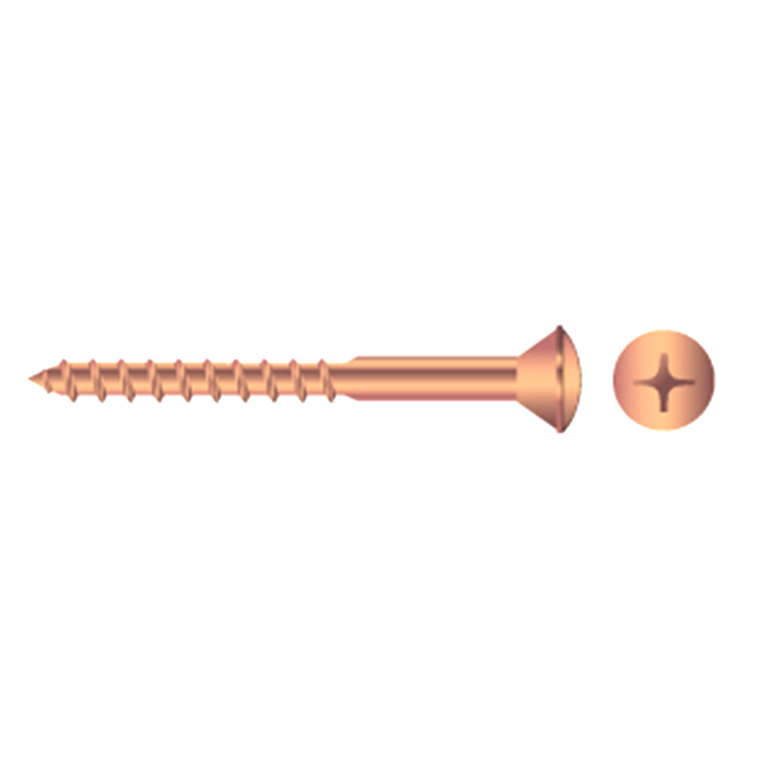 FASCO FASTENER #8 X 1" Silicon Bronze Frearson Oval-Head Wood Screws ...