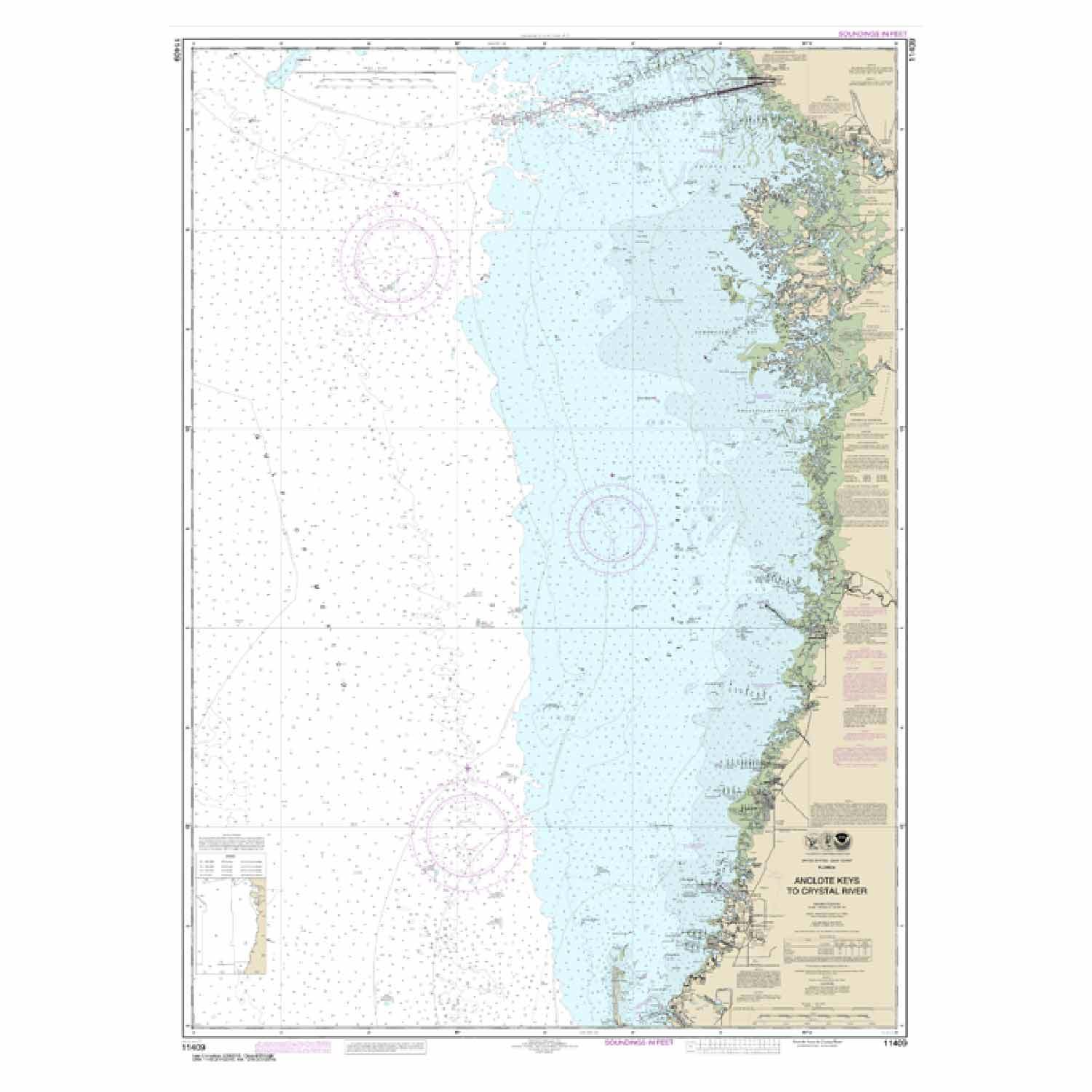 MAPTECH #11409 Anclote Keys to Crystal River