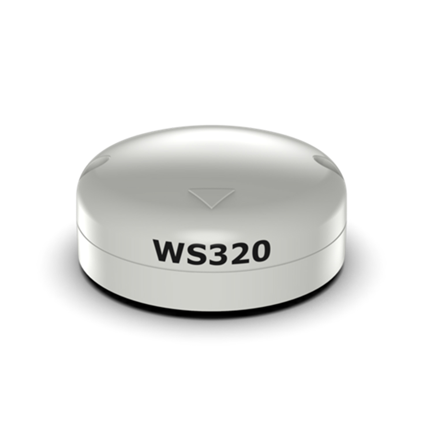 B&G WS320 Wireless Interface