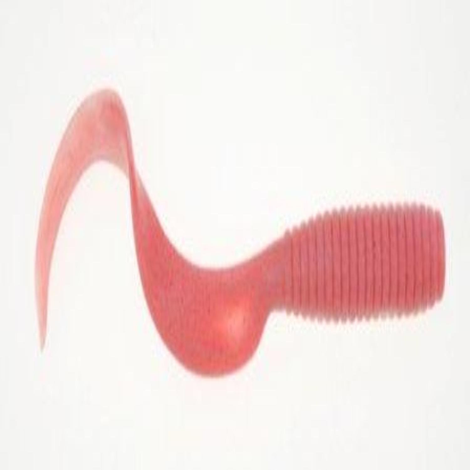 SPIDERWIRE Gulp!® Saltwater Grub