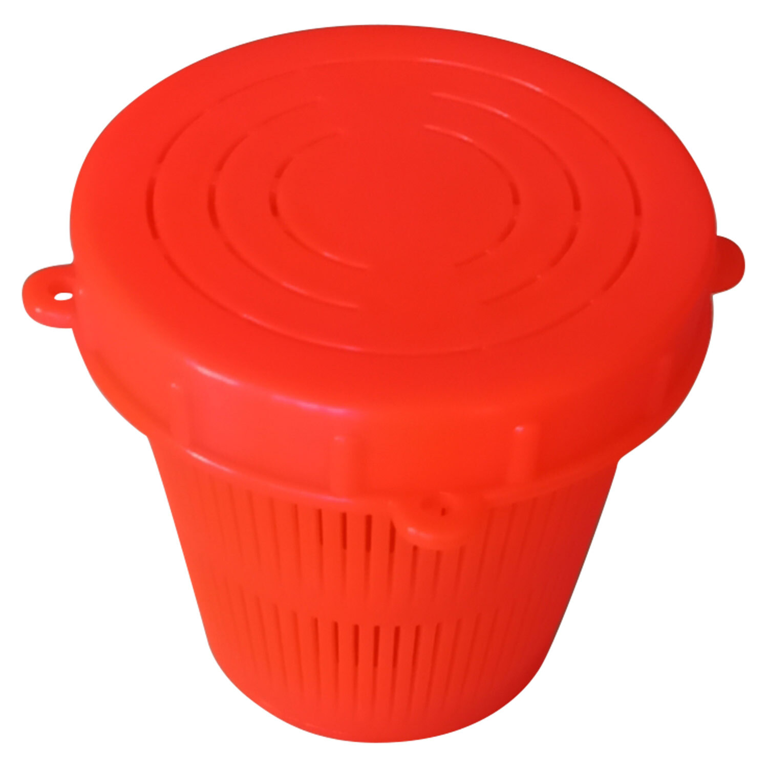 DANCO 1/2 Litre Bait Jar
